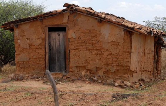 ensaios para uma humanidade (8)